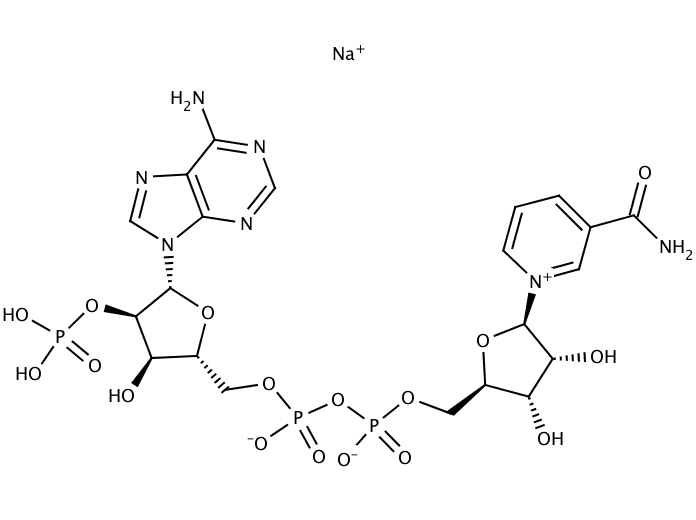 Purchase beta-Nicotinamide adenine dinucleotide phosphate monosodium ...