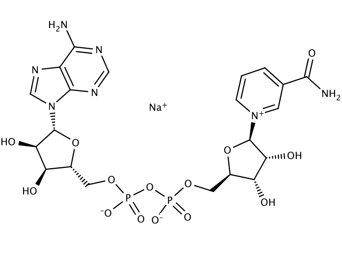 Purchase beta-Nicotinamide adenine dinucleotide sodium salt [20111-18-6 ...
