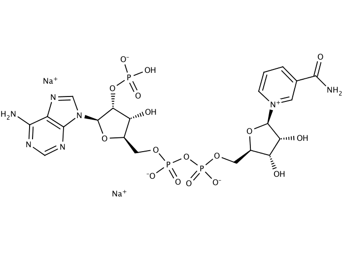 Purchase beta-Nicotinamide adenine dinucleotide phosphate disodium salt ...