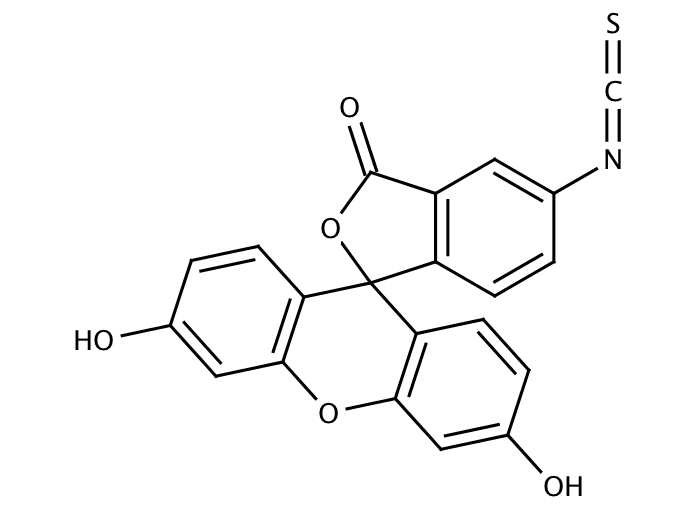 Purchase 5-Fluorescein isothiocyanate isomer I (FITC) [3326-32-7 ...