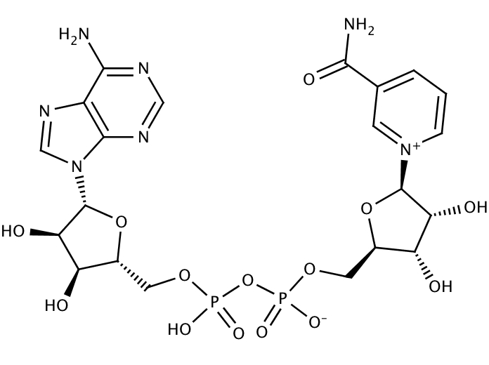 Purchase NAD (beta-Nicotinamide adenine dinucleotide) (C21H27N7O14P2) [53-84-9] online • Catalog ...