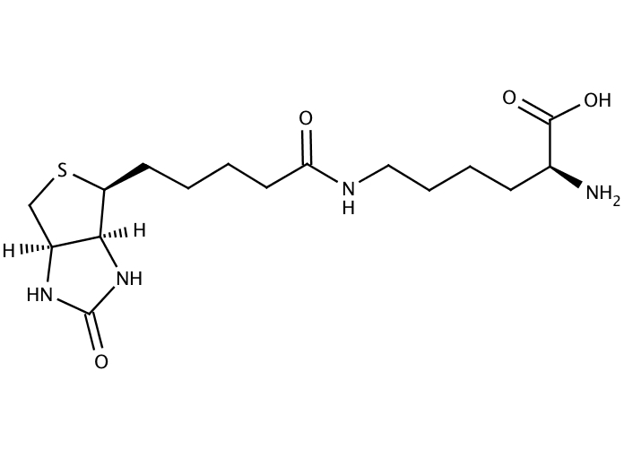 Purchase Biocytin [576-19-2] online • Catalog • Molekula